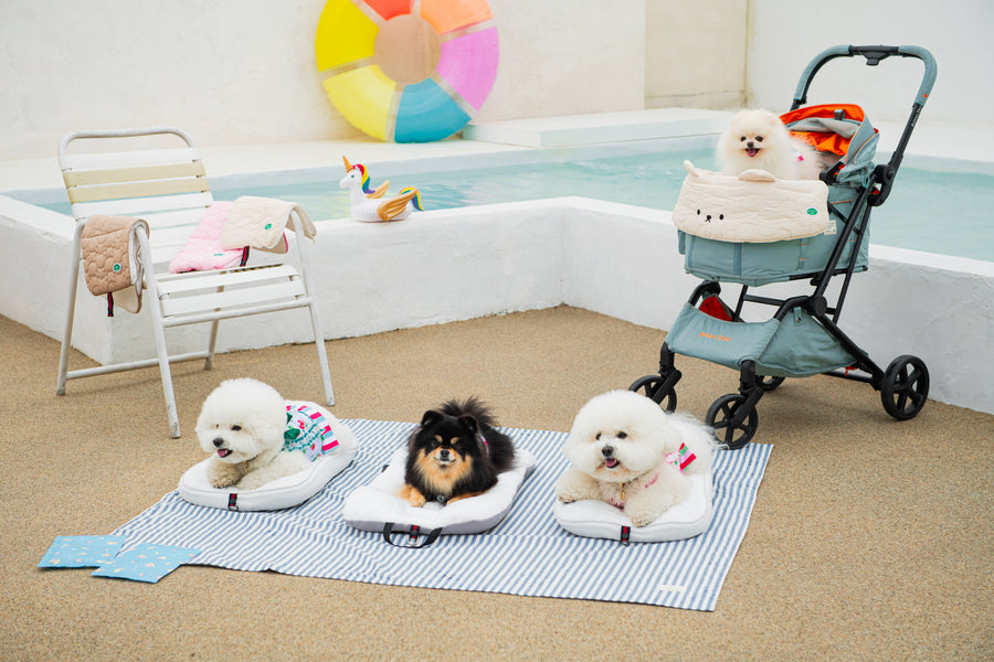 Harryspet Global Official Site – HARRYSPET Global Store