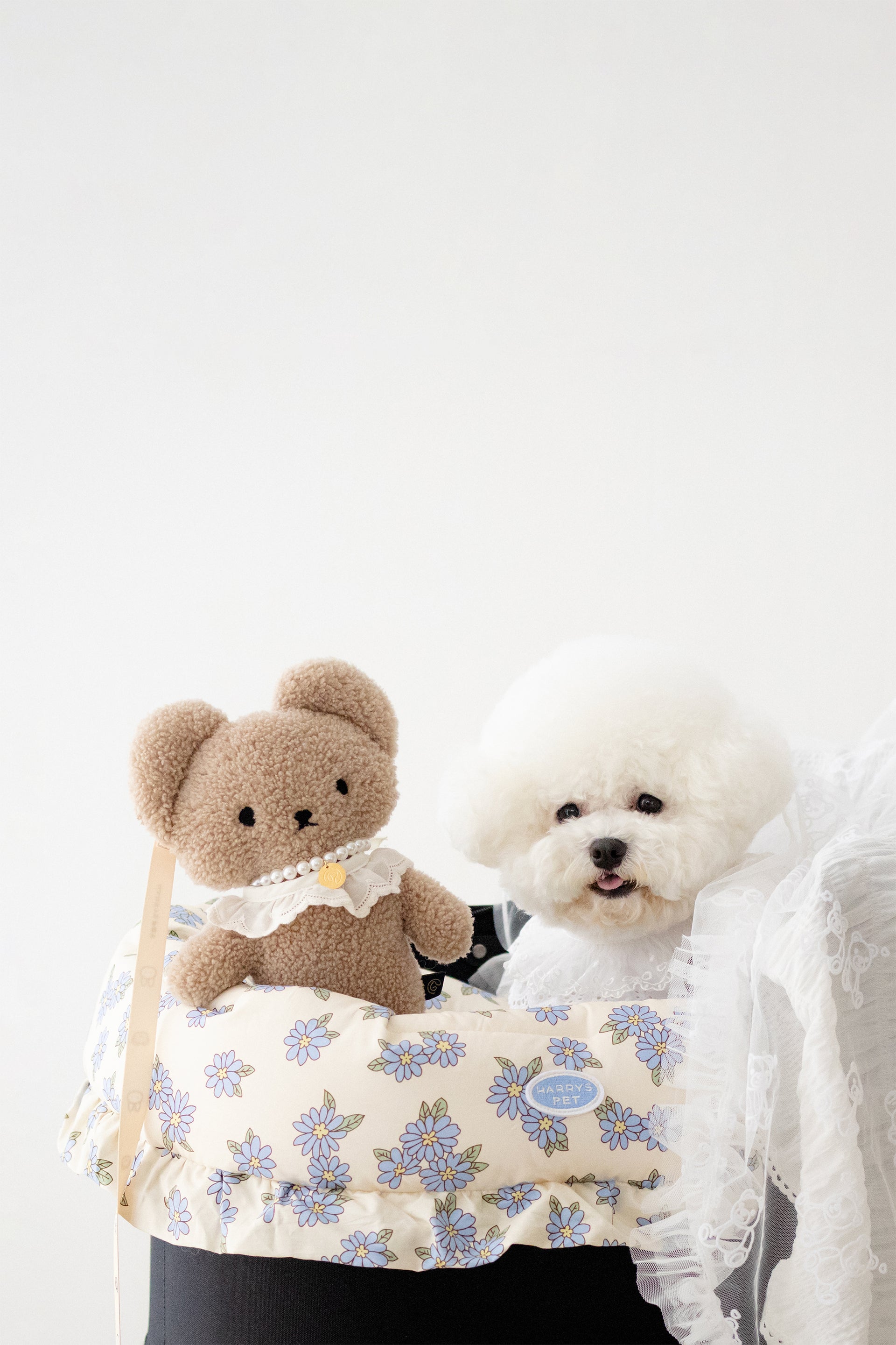 Harryspet Global Official Site – HARRYSPET Global Store