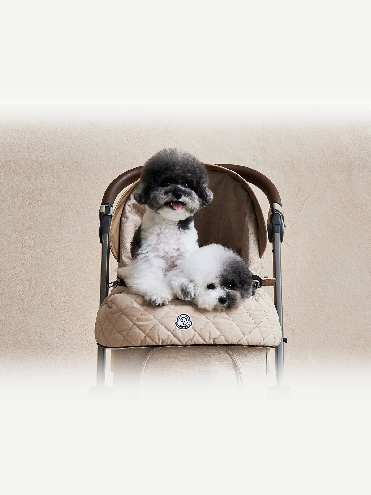 Harryspet Global Official Site – HARRYSPET Global Store