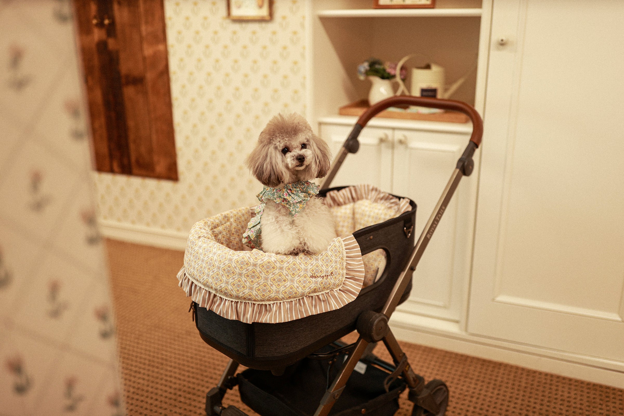 Harryspet Global Official Site – HARRYSPET Global Store