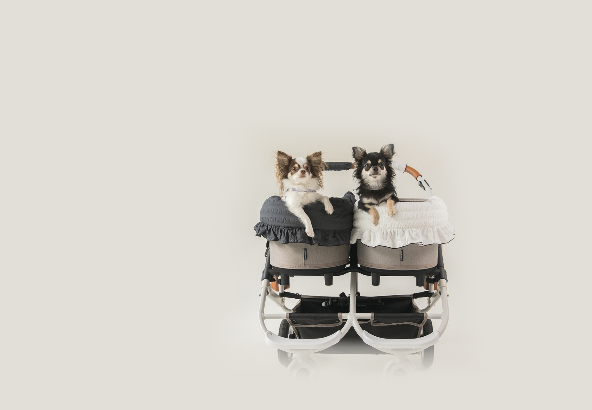 Harryspet Global Official Site – HARRYSPET Global Store