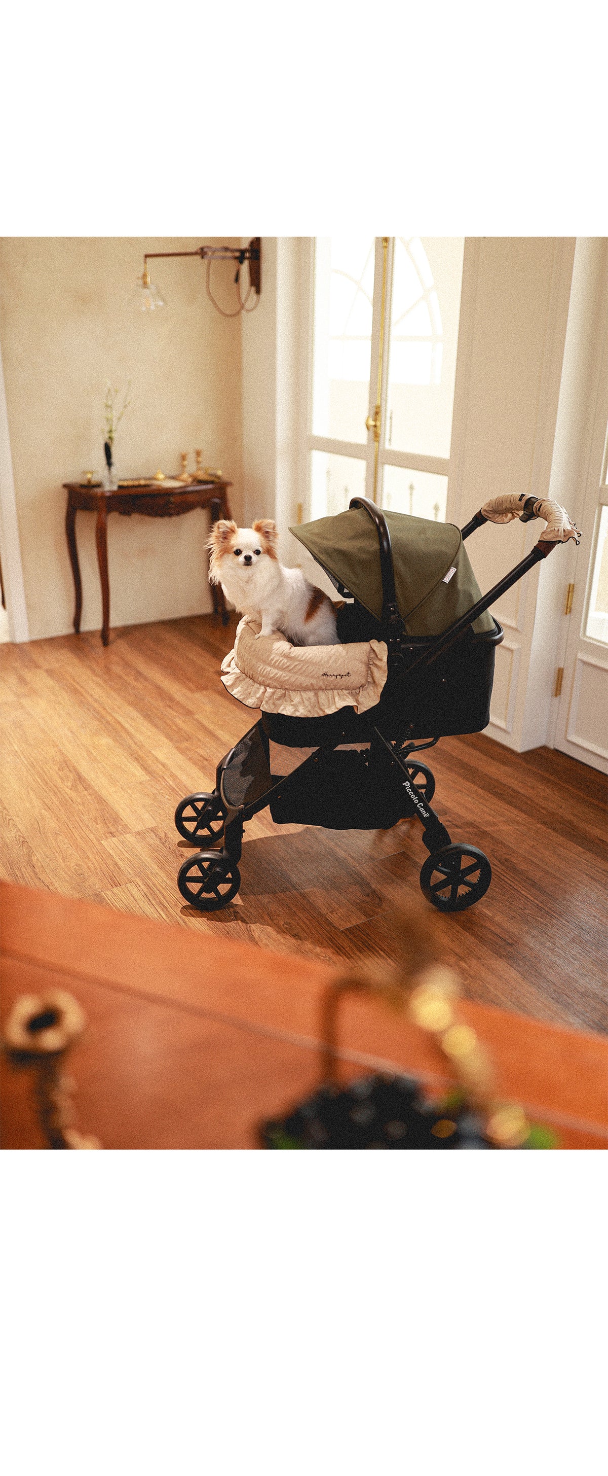 Harryspet Global Official Site – HARRYSPET Global Store